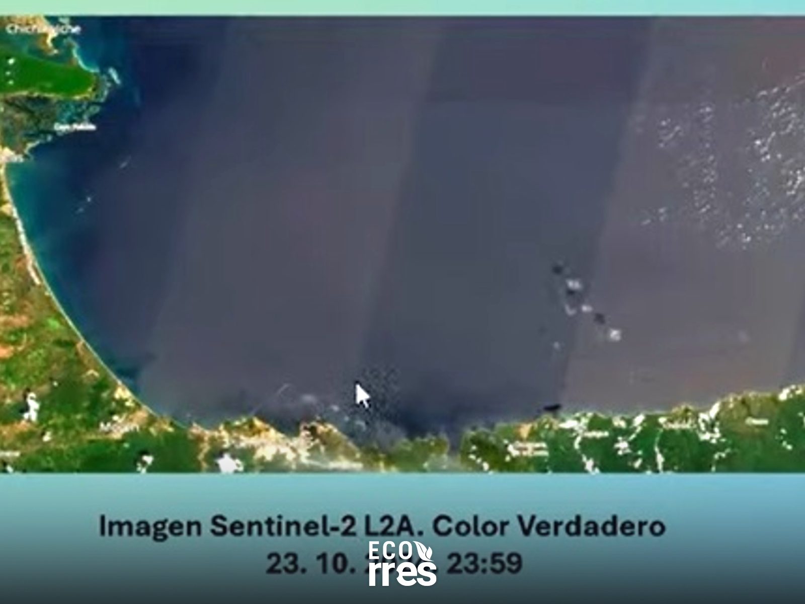 Derrames de petróleo continúan afectando la biodiversidad de las costas ...